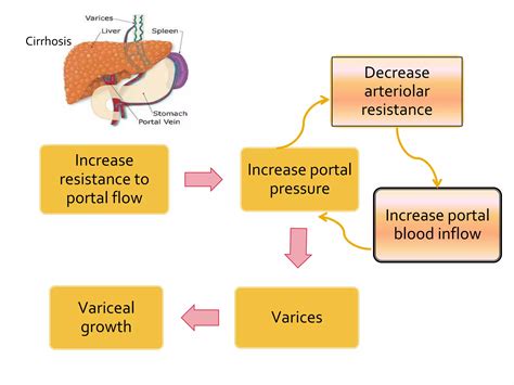 Management Of Acute Variceal Bleeding Pptx