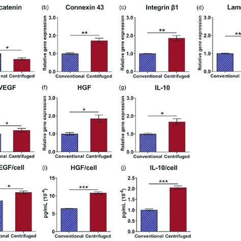 Centrifugation Layering Enables Viable 2 Layer Cell Sheet Tissue
