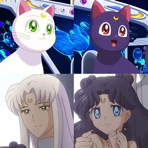 Artemis And Luna In 2025 Sailor Moon Luna And Artemis Anime