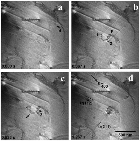 A Series Bright Field Micrographs Showing A Dislocation Loop Formed By Download Scientific