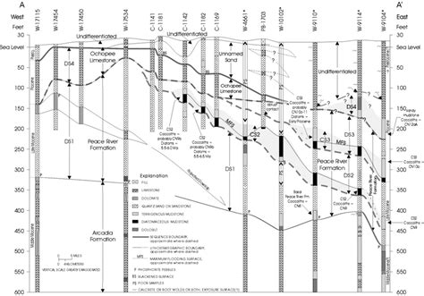 Geologic Cross Section A A Showing Lithostratigraphy Sequence Download Scientific Diagram