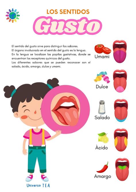 Los Sentidos El Gusto Los Sentidos Para Niños Sentido Del Gusto