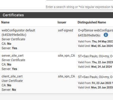 OpenVPN And PfSense Site To Site Simplificando Redes