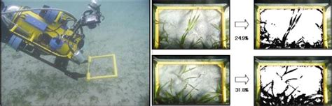 Figure 3 From Imaging And Classification Techniques For Seagrass Mapping And Monitoring A