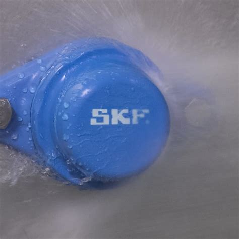 Fact Friday Khmais Dahmen