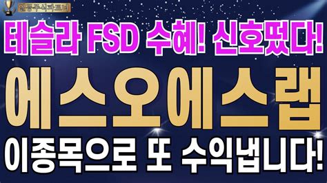 에스오에스랩 주가전망 테슬라 Fsd 수혜 신호 떴다 이종목으로 또 수익냅니다 Youtube