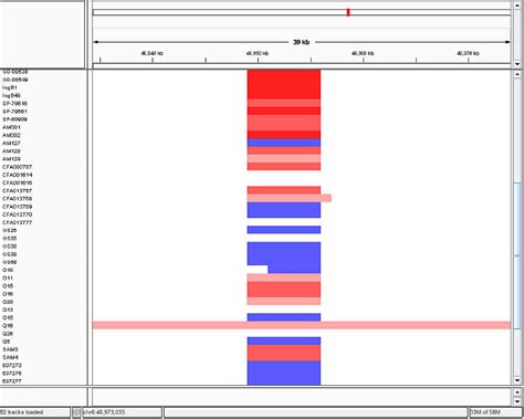 Interpopulation Comparison Of Copy Number Variants Dmytro Kryvokhyzha