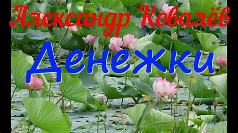 Денежки Александр Ковалёв Памяти друга Youtube