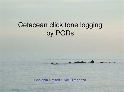 Ppt Cetacean Click Tone Logging By Pods Chelonia Limited Nick