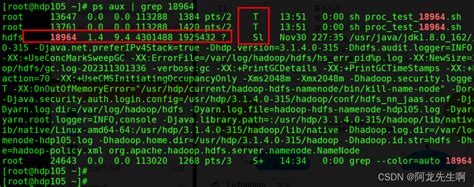 Linux进程查看 fork函数 进程状态 linux获取fork状态 CSDN博客
