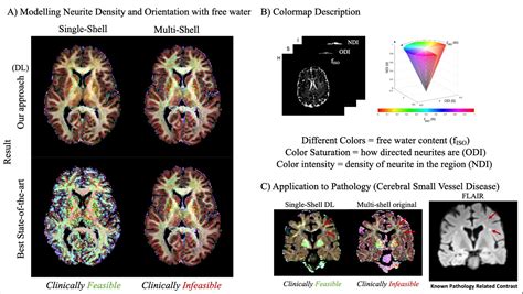 Research Doyley Group University Of Rochester