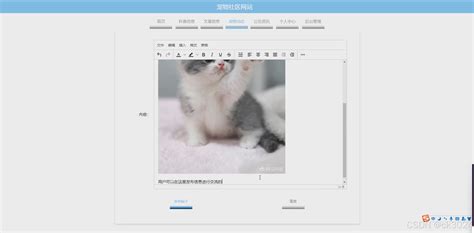 springboot计算机毕业设计宠物社区网站mud2d csdn博客