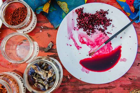 Workshop Pflanzen Anna Kolata