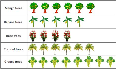 Reading Pictographs Collection And Recording Of Data Tabulating Of