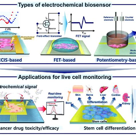 Schematic Of Various Types Of Electrochemical Biosensors For Download Scientific Diagram