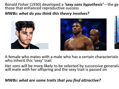 Aqa Psychology Evolutionary Explanations Of Relationships Teaching