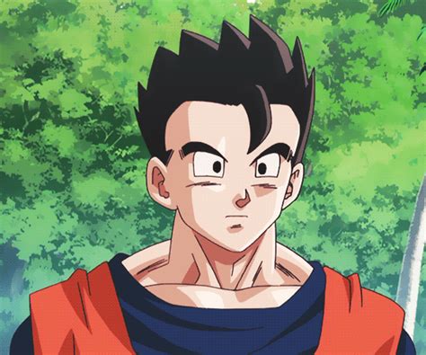 Gohan Happy