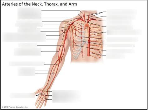 lab notes 2 diagram quizlet