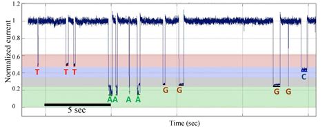 Researchers Achieve Real Time Single Molecule Electronic Dna Sequencing Medical Design And