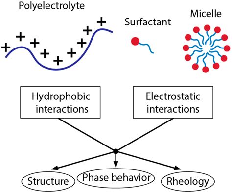 Polymers Free Full Text Intermolecular Interactions In Polyelectrolyte And Surfactant