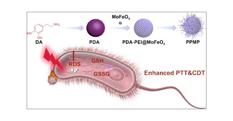 Advancing Nir Ii Photothermal Antibacterial Capability Of Polydopamine