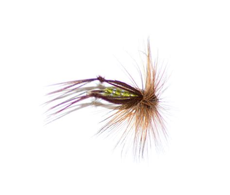 Olive Hopper Traditional Hopper Fly