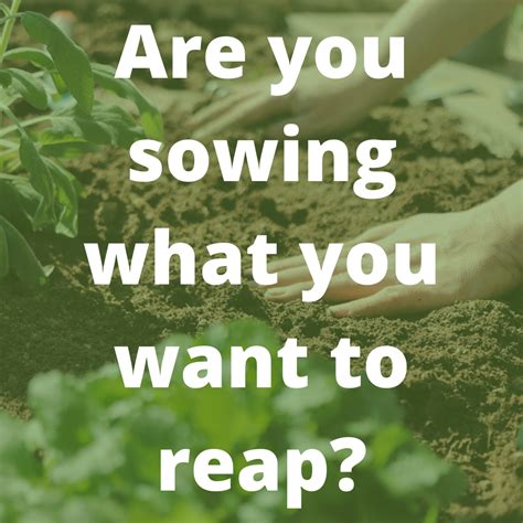 Can You Ever Have Too Much Data Three Dangers Of Data Overload By Myriam Munezero Medium