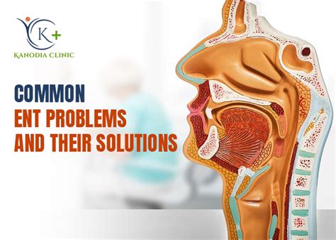 Common Ent Problems And Their Effective Solutions Expert Guide