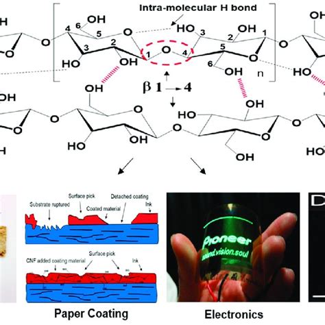 Pdf Cellulose Nanomaterials—binding Properties And Applications A Review
