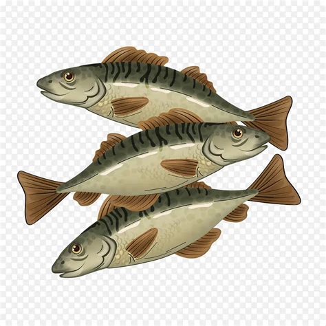 卡通咸鱼矢量图下载png图片素材下载图片编号9832343 Png素材网