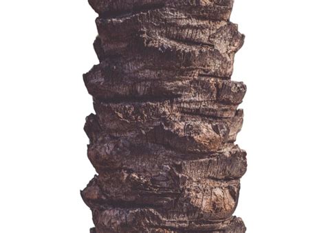 Premium Photo Low Angle View Of Stack Against White Background