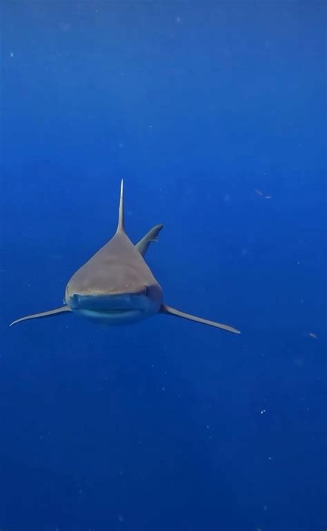 Ashley Goldstein On Linkedin Nvidialife