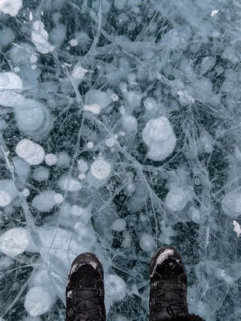 Abraham Lake Bubbles Best Time To Visit And Safety Tips