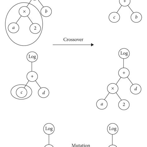 Typical Operations Of Crossover And Mutation In Gp [75] Download