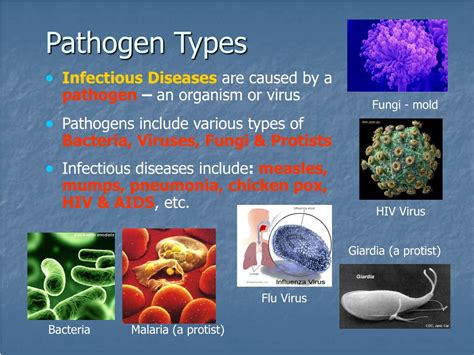 Why Are Biofilms Different Than Other Types Of Pathogens At Skye