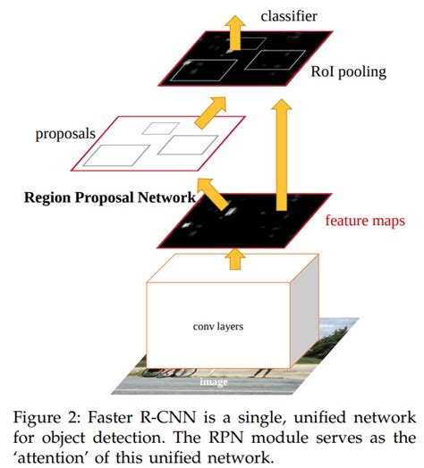 Object Detection Using Pytorch Faster Rcnn Resnet50 Fpn V2