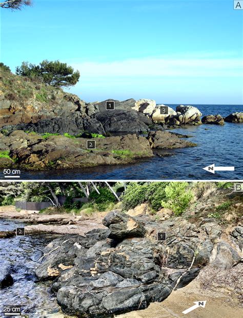 a the various lithotypes recognized in the main outcrop fig 2b download scientific