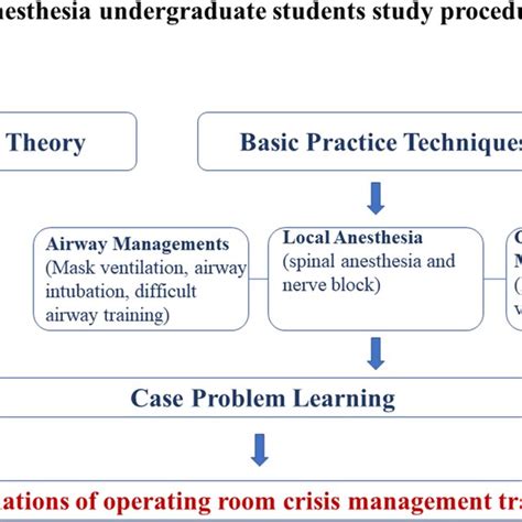 Anesthesia Undergraduate Students Study Procedure The Organizational