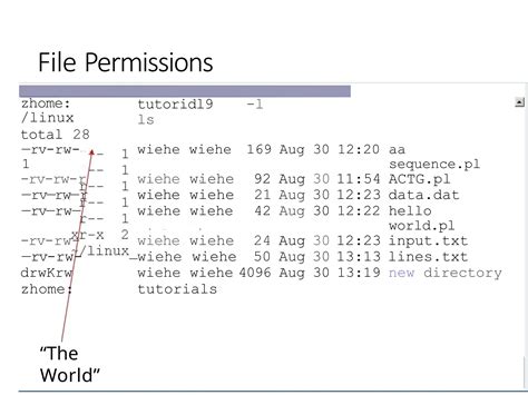 Linux Commands For Beginners Powerpointpresentation Pptx