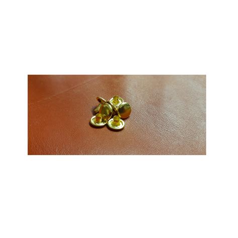 Double Capped Rivets Gilt Pack Of 50 Crispin Leather