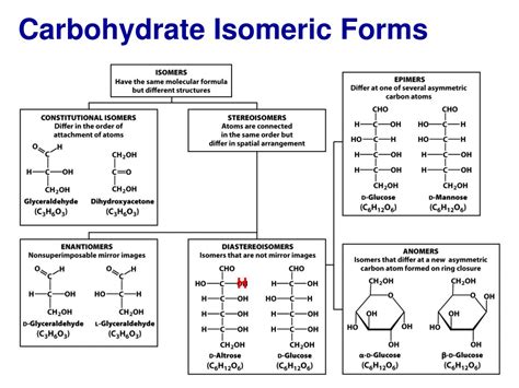 PPT Exploring Carbohydrates Structures Isomers And Functions PowerPoint Presentation ID