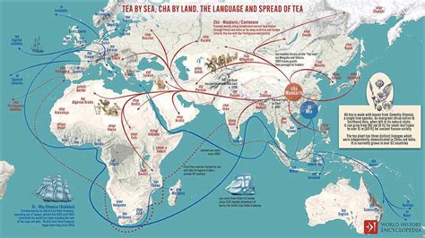17 Titillating Facts About The History Of Tea Thecollector