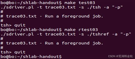 Csapp Shell Lab 实验报告shelllab Csdn博客