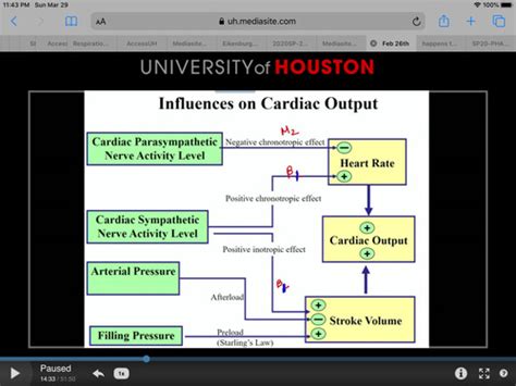 Cardiac Output Flashcards Quizlet