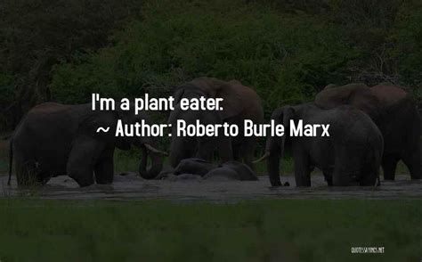 Roberto Burle Marx Famous Quotes And Sayings