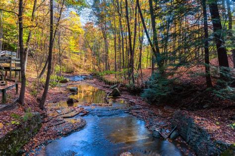 Beautiful Autumn Landscape In Cuyahoga Valley National Park Ohio Usa
