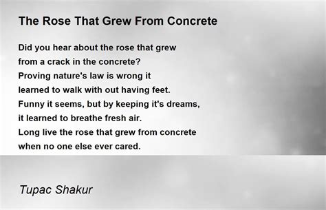 7th8th Poetry The Rose That Grew From Concrete Fig Languagetheme