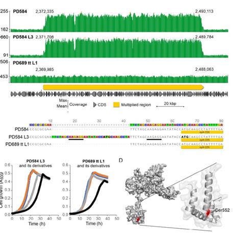 Growth Parameters Of Pseudomonas Putida Em42 Mutant Strains In Batch
