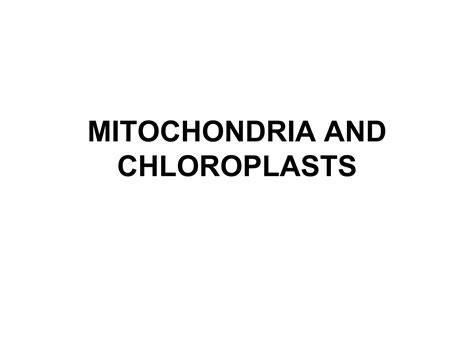 Mitochondria And Chloroplast Pptx Biological Sciences Science