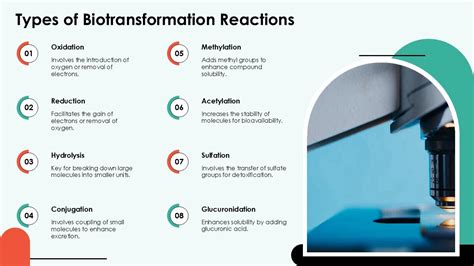 Types Of Biotransformation Reactions Ppt Sample St Ai Ss Ppt Presentation